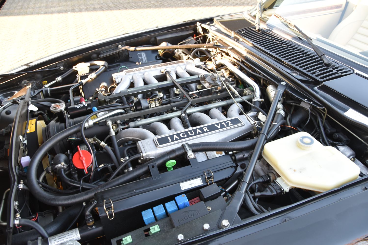 Jaguar XJ-S V12 cabriolet – Nout Classic Cars